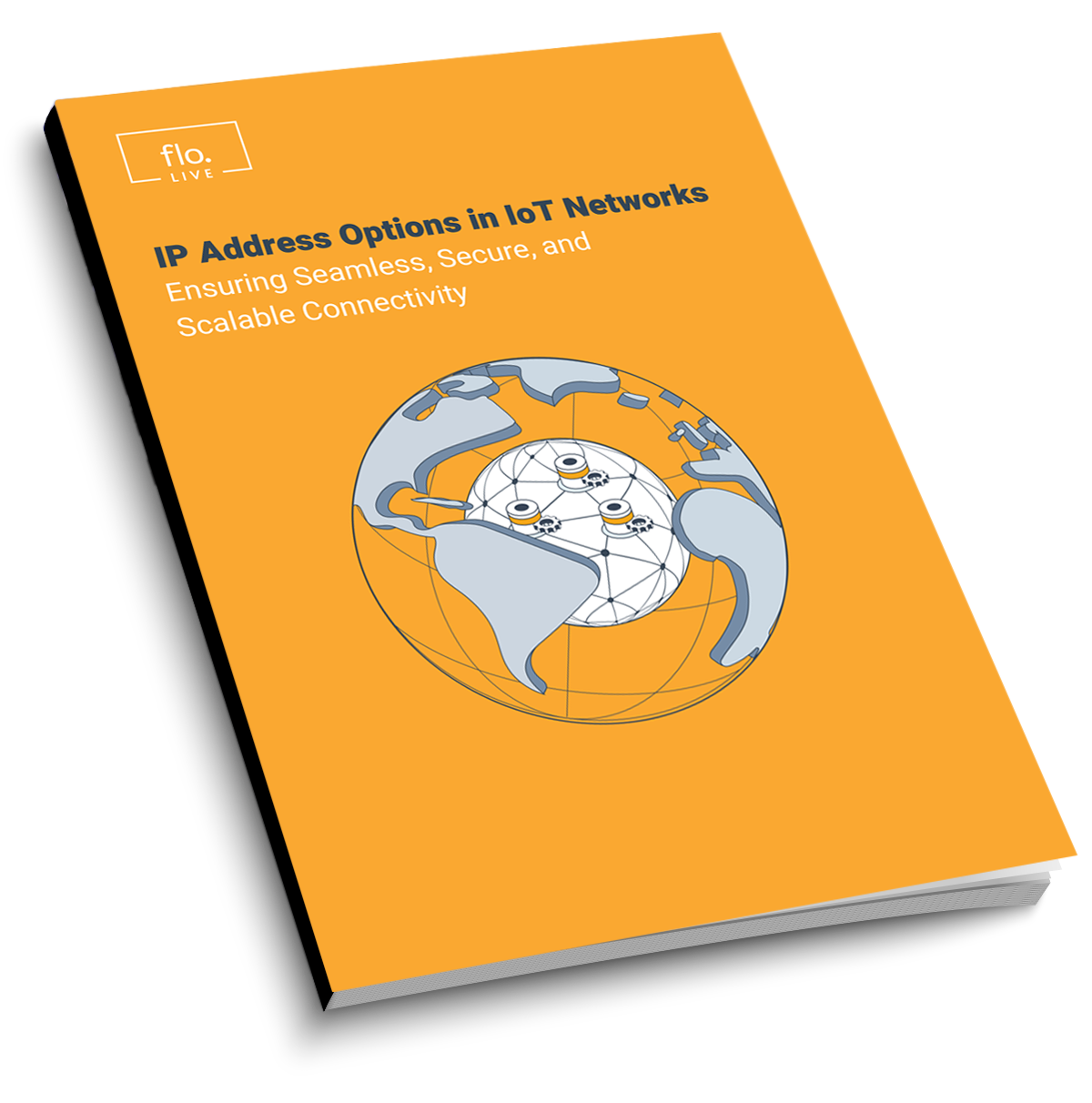 IP Address Options in IoT Networks: Ensuring Seamless, Secure, and Scalable Connectivity